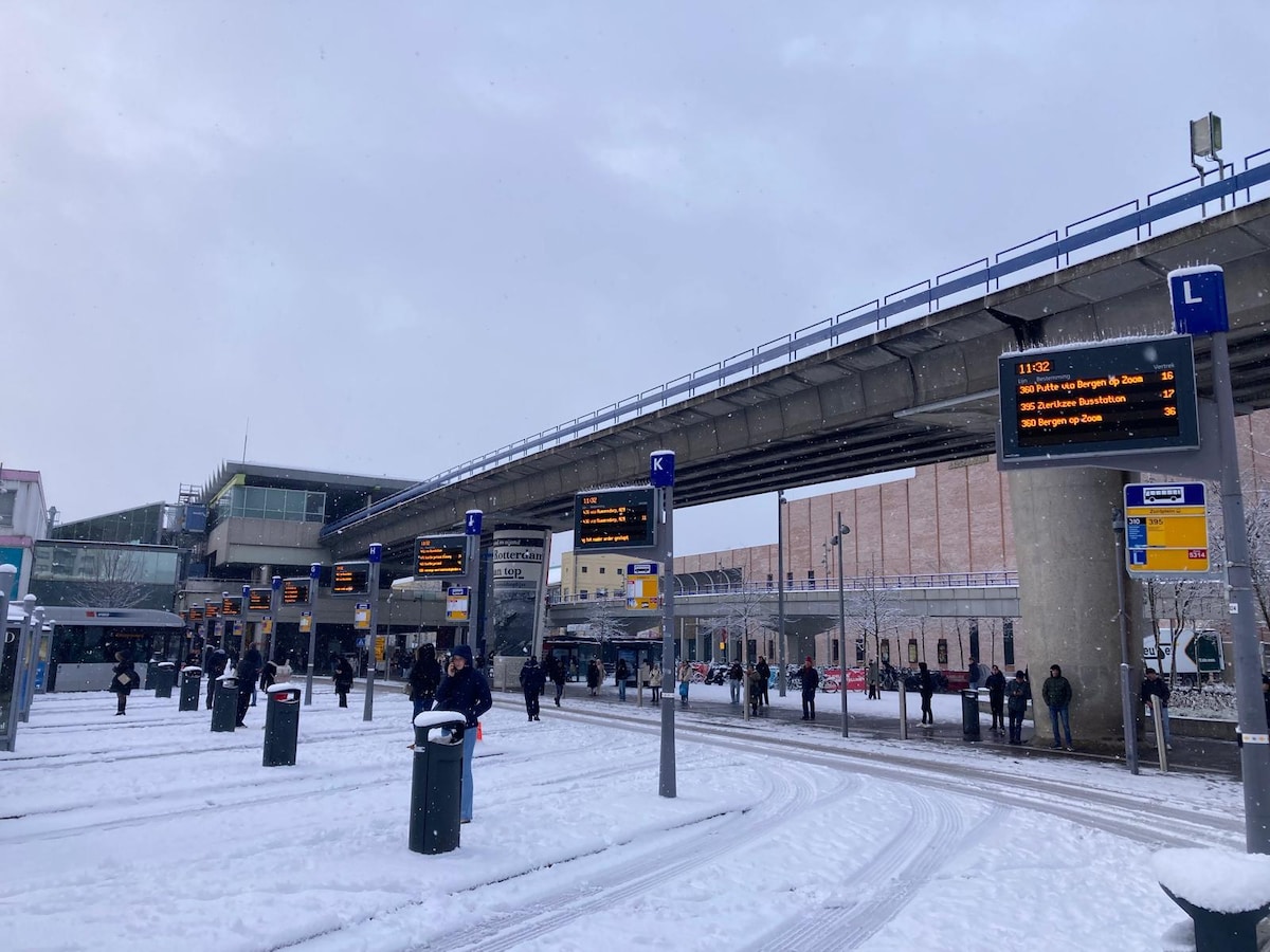 EBS-bussen op Voorne-Putten en Rozenburg rijden niet vanwege winterweer ...