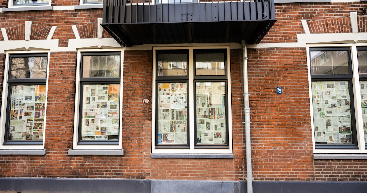 Huizen bomvol katten en honderd slangen in Ikeadozen: het zullen je ...