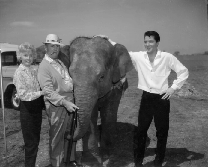 Bijzonder archief onthuld: tienduizenden brieven van Elvis-manager ...