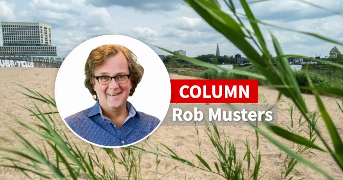 Zomervakantie in Breda: Strafplaneet 't Zoet is een strand voor ...