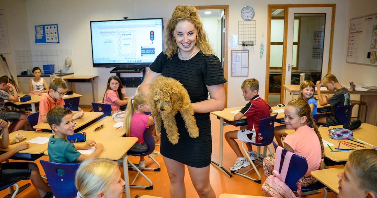 Puppy Pip steelt de show tijdens eerste schooldag bij Klim-op: ‘Eerst ...